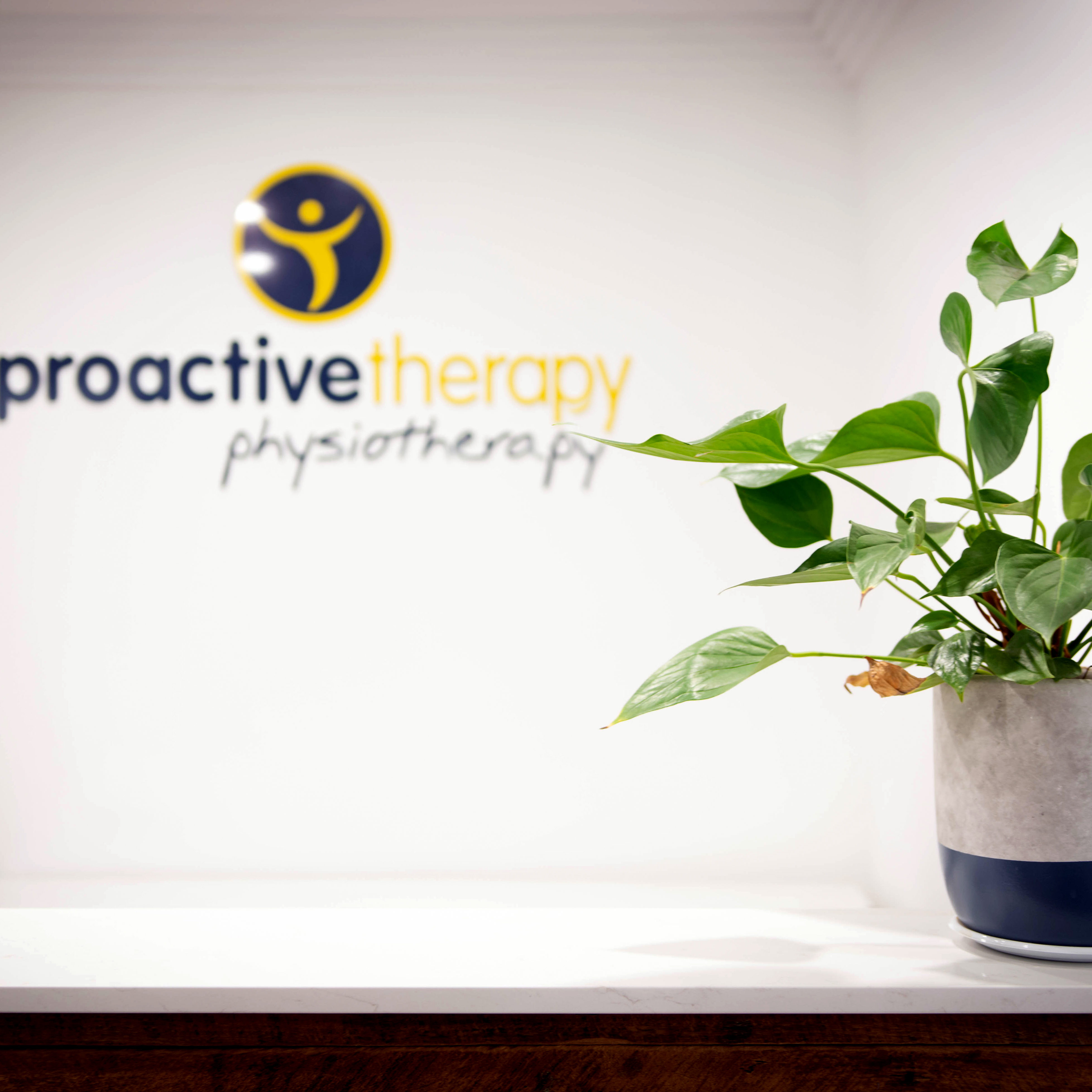 Proactive Therapy - Physiotherapy, Massage, Pilates, Workcover, CTP